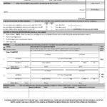 Form UD-13 Download: Request for Judicial Intervention (PDF)